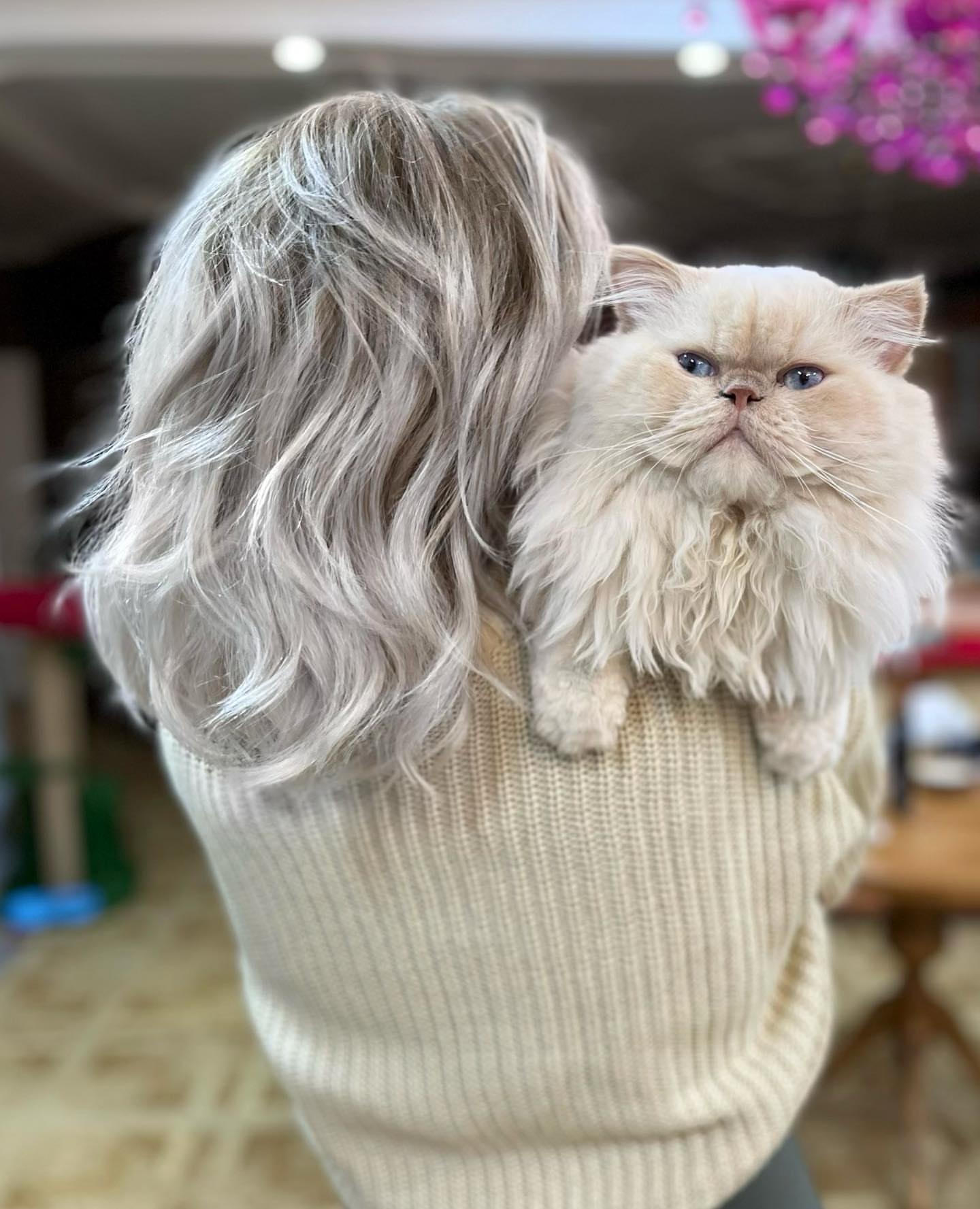 The Temporary Hair Color Guide for Beginners, All You May Wanna Know ...